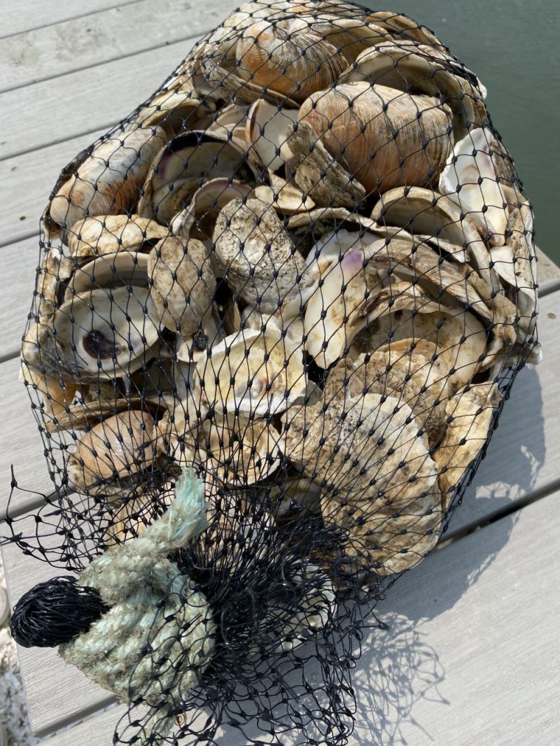 Oyster Shell Recycling Program – LBT Marine Field Station
